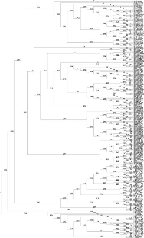 Figure S2 Ultrametric Tree Obtained By Acr Analysis Using Download Scientific Diagram