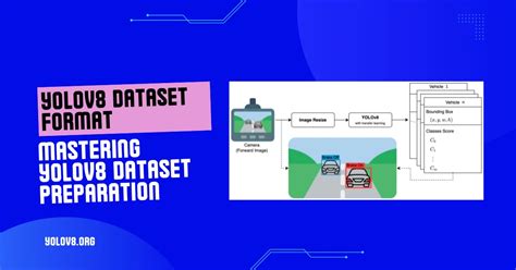 yolov8 dataset format mastering yolov8 dataset yolov8