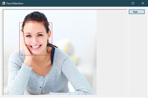 Camera Face Detection In C Using Emgu Cv And Wpf Images