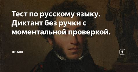 Тест по русскому языку Диктант без ручки с моментальной проверкой Хомо Сапиенс Дзен