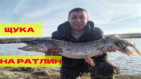 ЩУКА ОСЕНЬЮ.РАТЛИНЫ РУЛЯТ!!! ВОТ ЭТО ТОРПЕДЫ!!! - YouTube