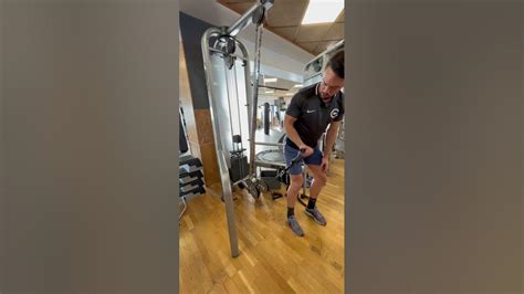 Curl Bayesian Youtube