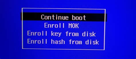 Fixing Ubuntu Freezing At Boot Time