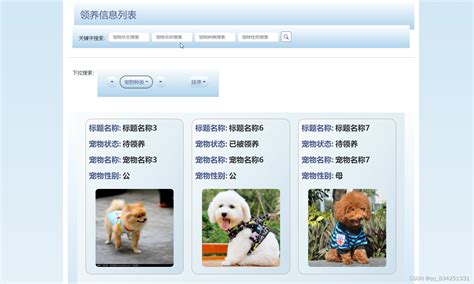 springboot vue项目流浪狗领养管理系统的设计与实现 社区宠物管理系统 csdn博客