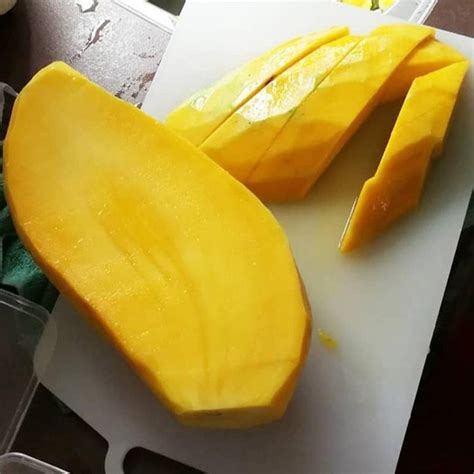 Mangga Mahatir Mangga Super Jumbo Asal Malaysia Tanamanmart