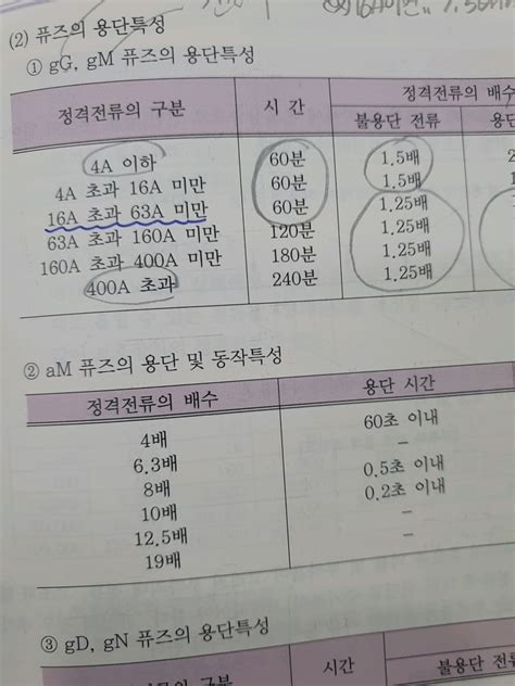 Daum 카페