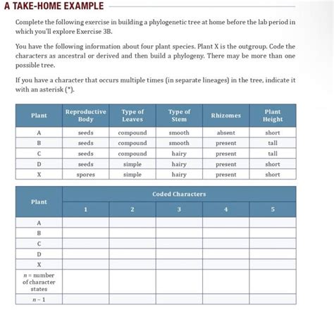Solved Complete The Following Exercise In Building A
