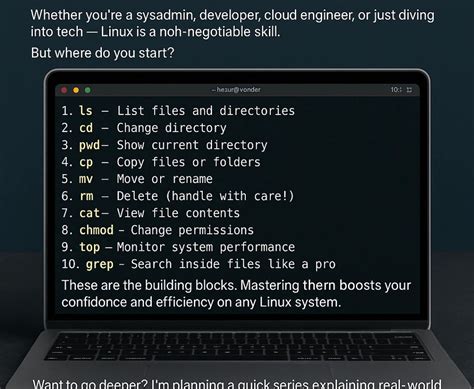 mastering linux 10 essential commands muhammad salman ijaz posted on the topic linkedin