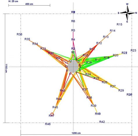 Root Mapping Tracy Clarke Tree Consultancy