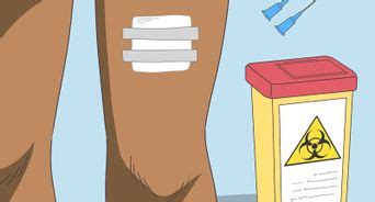 Ways To Take Testosterone WikiHow