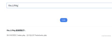 Nssctf中的webwebftp2011 Csdn博客 Nssctf中的webwebftp2011 Csdn博客