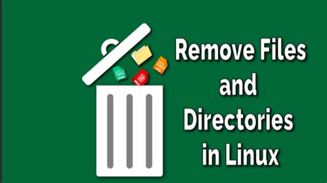 Are You Struggling To Delete Specific Subfolders And Files In Linux