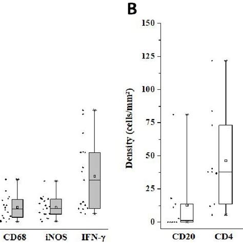 Dot Plot Graph Showing The Distribution Of Positive Cells And A Box Download Scientific Diagram