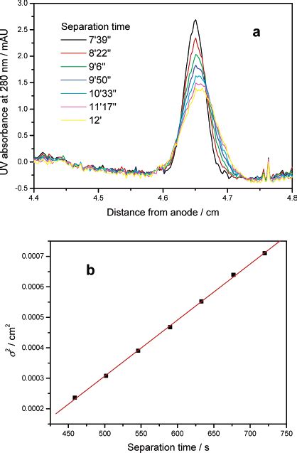 Measurement Of Diffusion Coefficient Of Protein By CIEF WCID A The Download Scientific