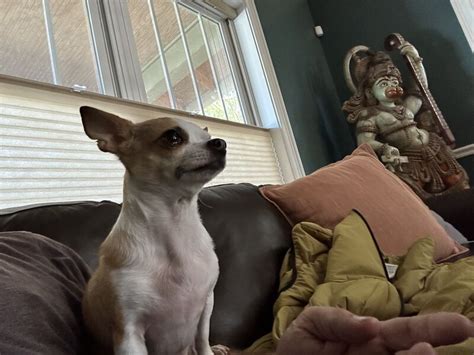 Eli Etherton On Linkedin Asheville Raleigh Avl