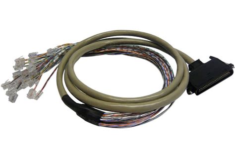 RJ 21 Kabel DrayTek