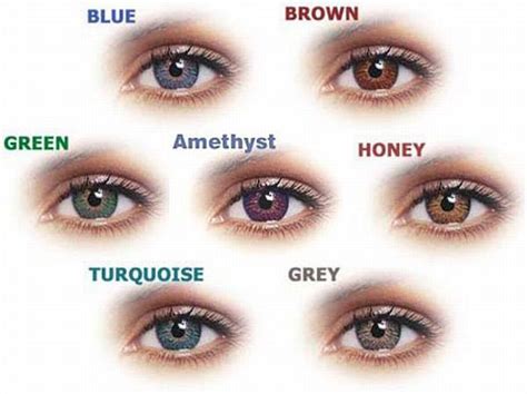 Types Of Contact Lenses And Their Pros And Cons DIY Health Do It Yourself Health Guide By Dr