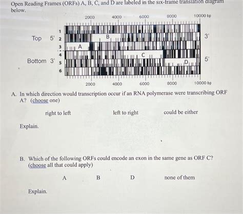solved open reading frames orfs a b c and d are labeled