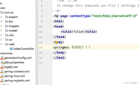 springmvc框架入门使用（详细教程） csdn博客
