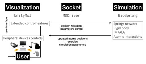 Fast And Interactive Positioning Of Proteins Within Membranes