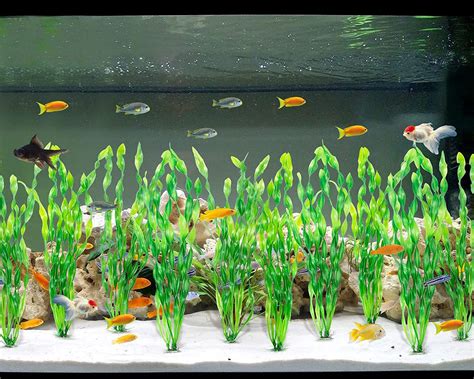 Plastic Seaweed For Fish Tank Pawzzle