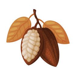 Cocoa Tree Vector Images Over 2 900