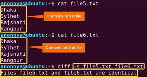 The Diff Command In Linux 11 Practical Examples LinuxSimply