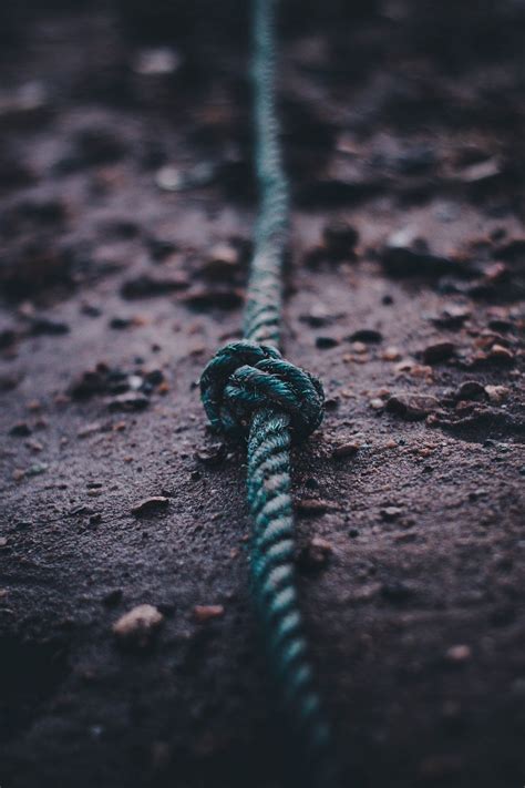 Working With Cross Modal Retrieval Part2machine Learning By