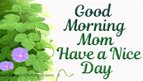Good Morning Mom  Images With Wishes And Messages