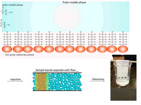 Lec 2 Separation By Chromatography Ppt