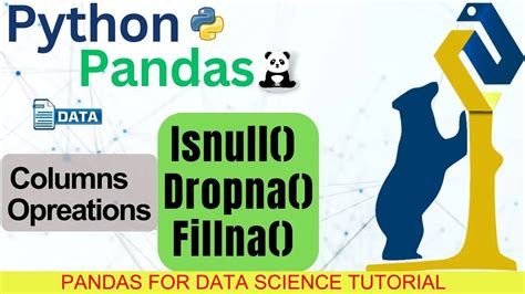 Isnull Dropna Fillna Functions In Pandas Pandas Tutorial For Data Science Youtube