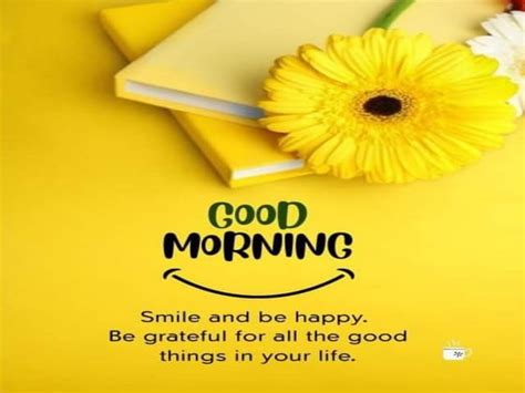 07 The Deciduous Teeth Dentition Ppt