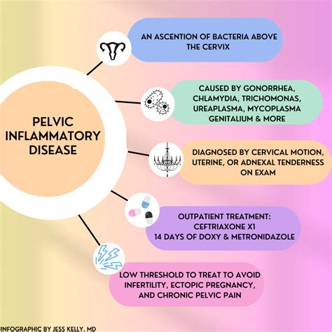83 Ascend Your Understanding Of Pelvic Inflammatory Disease PID