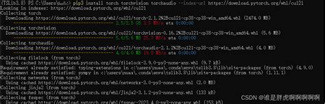 torch cuda is available 输出false torch测试false csdn博客