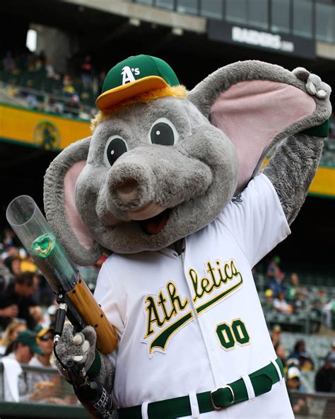 Stomper The Oakland As Mascot Oakland Athletics