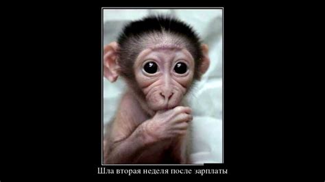 демотиваторы новые демотиваторы девушки пошлые демотиваторы про девушек пошлые демотиваторы