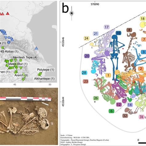 Estimation Of Genetic Relatedness Of Newly And Previously Sequenced Download Scientific Diagram