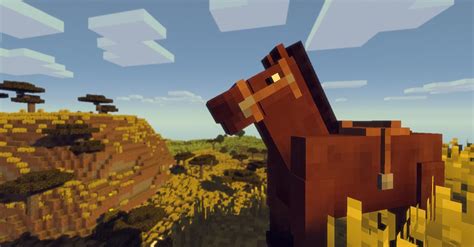 Another Shader Screenshot Shaderpack Sildurs Vibrant Shaders R