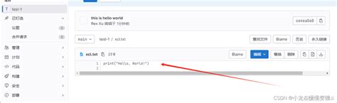 Gitlab 开发者权限不能push代码 Gitlab开发管理流程mob64ca1411a6fc的技术博客51cto博客