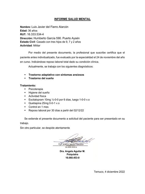 Informe Salud Mental Pdf