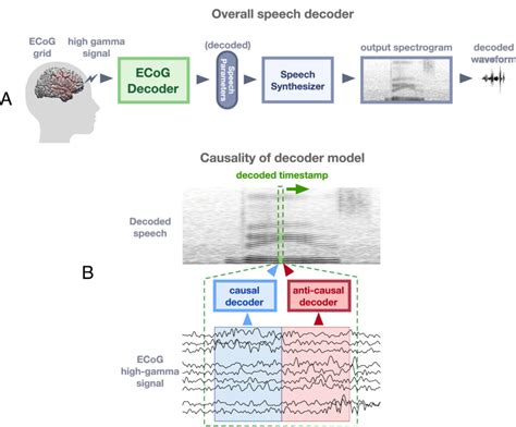 Innovators Reconstruct Speech From Brain Activity Super Innovators