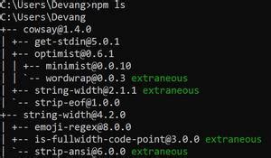 How To Find The Version Of An Installed NPM Package In Node Js