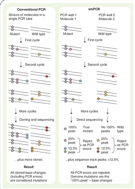 Rejection Of Pcr Errors In Smpcr For The Sake Of Illustration The