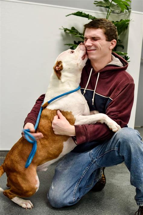 Steven Swan Humane