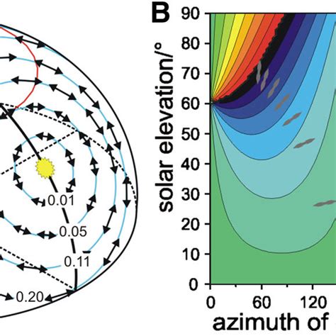 The Sky Polarization Pattern A Pattern Of Polarization According To Download Scientific