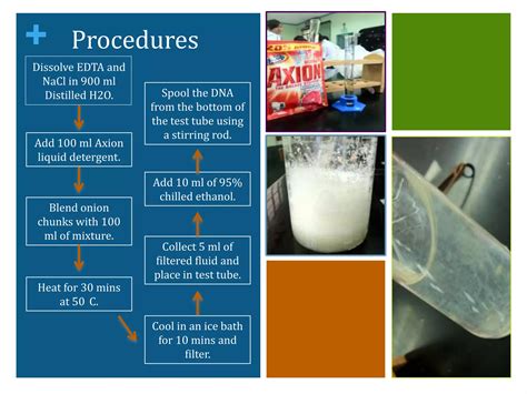 Dna Isolation PPTX