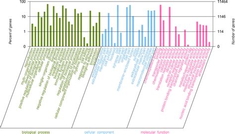 Functional Classification Of Assembled Unique Sequences Based On Gene