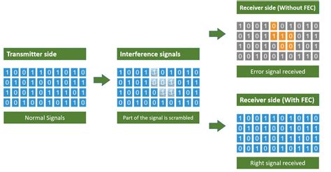 Fecとは何ですか 知識