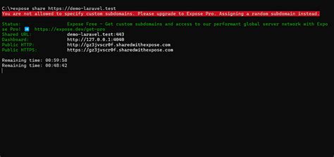 Expose — Share Your Local Laravel Application With Others On The Internet By Abhinav Namdeo