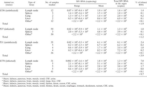Quantitation Of Siv Rna In Tissues After Bolus Injection And Download Table